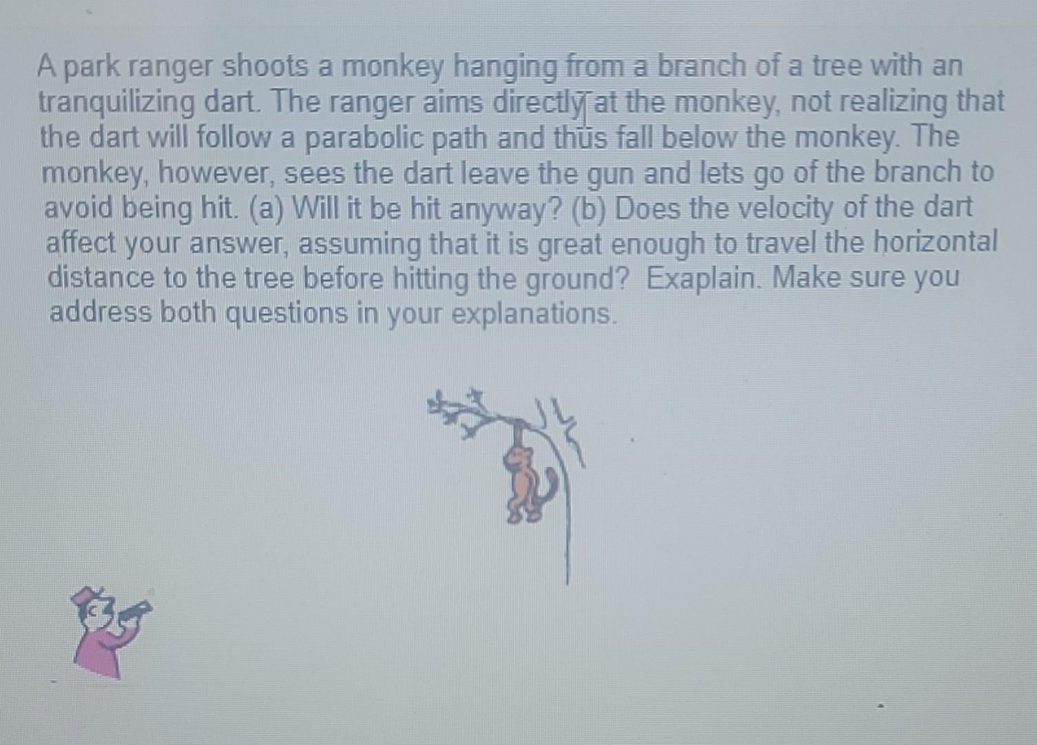 Solved A park ranger shoots a monkey hanging from a branch | Chegg.com