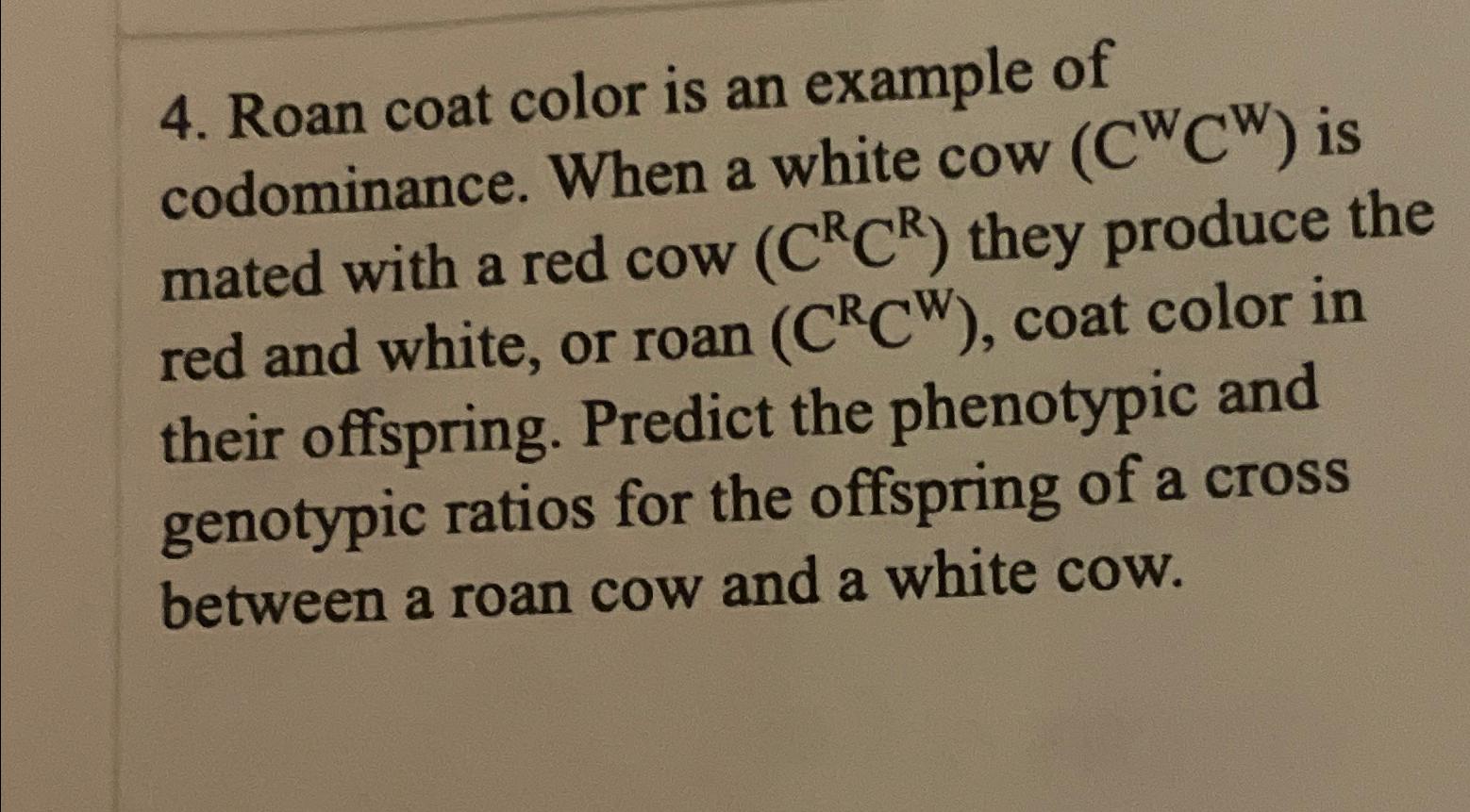 Solved Roan coat color is an example of codominance. When a | Chegg.com