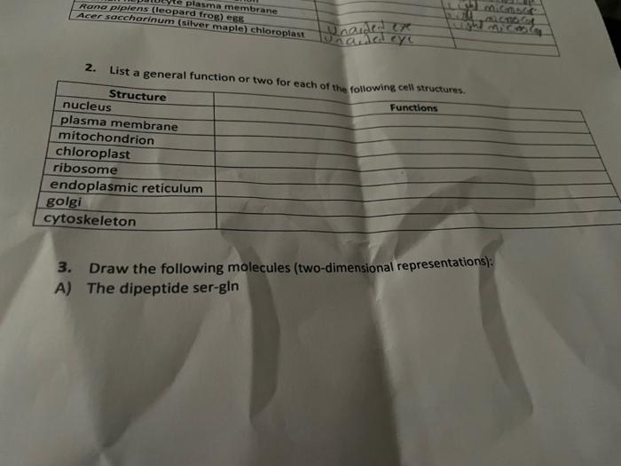 Solved 2. List a general function or two for 3. Draw the | Chegg.com