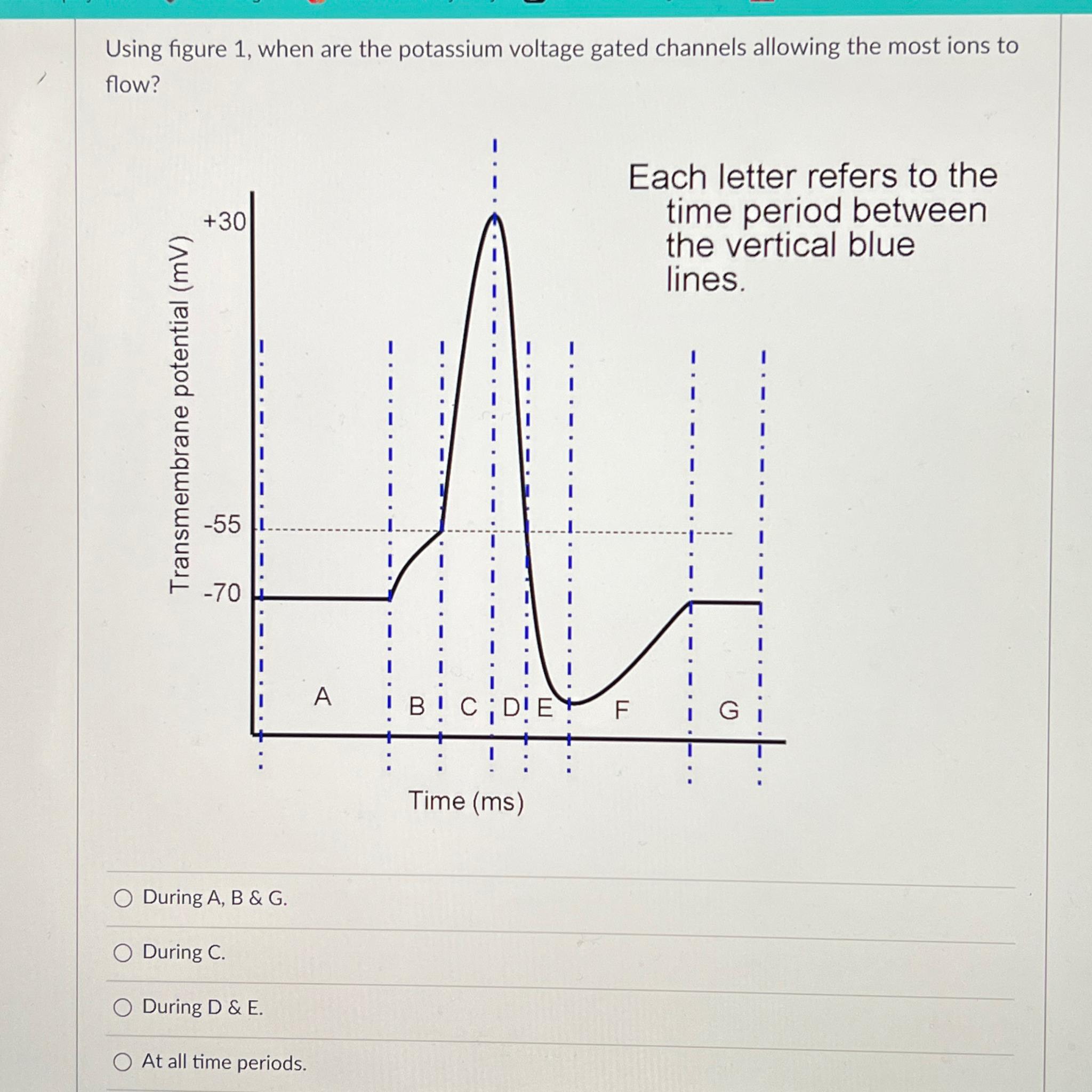 Solved Using figure 1, ﻿when are the potassium voltage gated | Chegg.com
