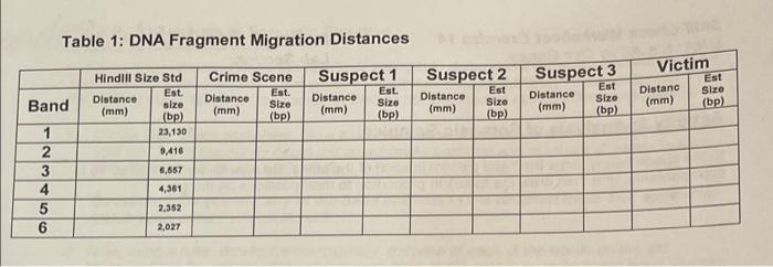 Band 1 2 3 4 5 Table 1: DNA Fragment Migration | Chegg.com