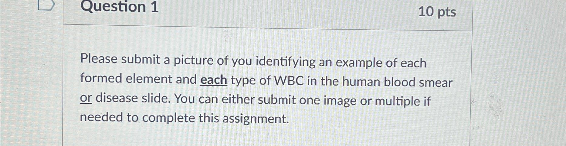 Solved Question 110 ﻿ptsPlease submit a picture of you | Chegg.com
