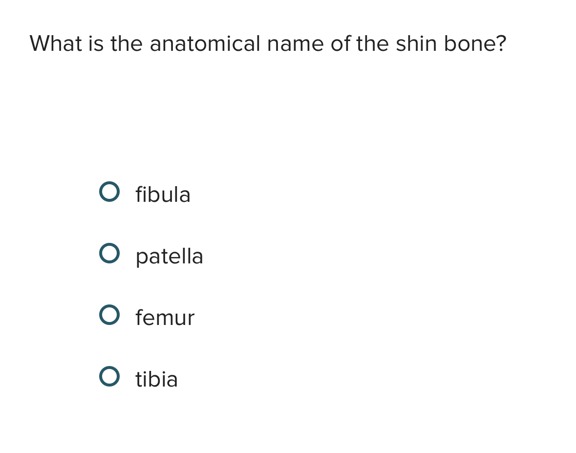 Solved What is the anatomical name of the shin | Chegg.com