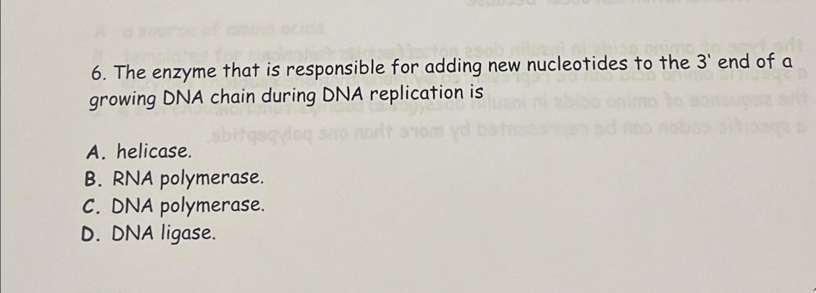 Solved The enzyme that is responsible for adding new | Chegg.com
