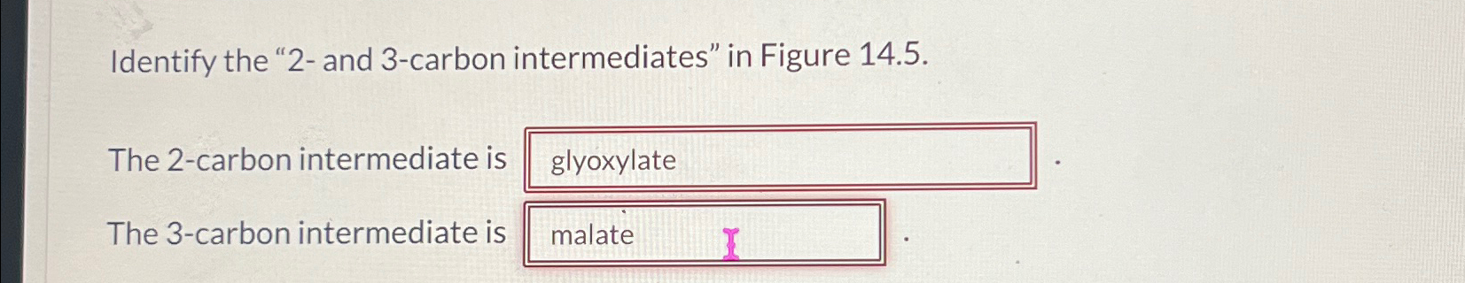Identify the "2- ﻿and 3-carbon intermediates" in | Chegg.com