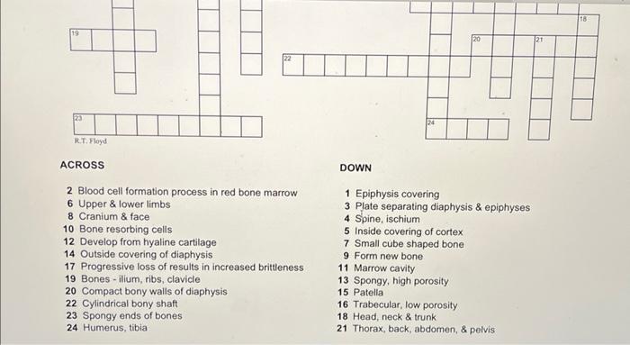 Solved Manual of Structural Kinesiology ACROSS DOWN 2 | Chegg.com