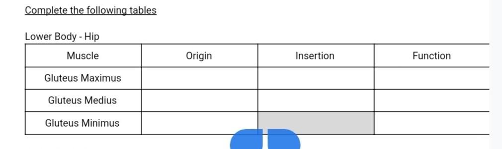 Solved Complete the following tables Lower Body - Hip Muscle | Chegg.com
