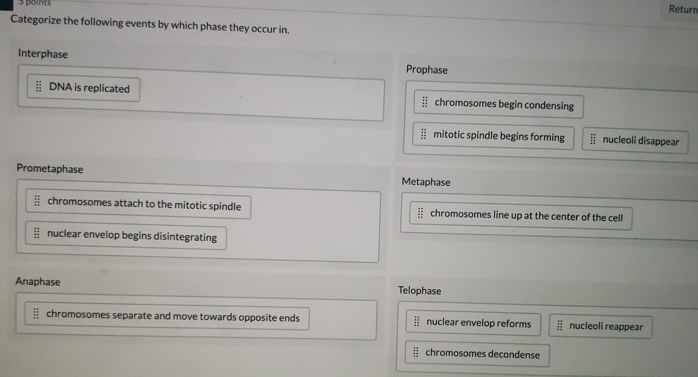 Solved Categorize the following events by which phase they | Chegg.com