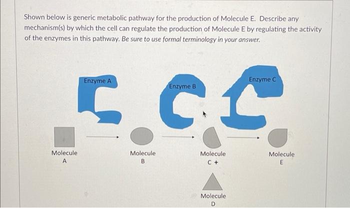 Solved Shown below is generic metabolic pathway for the | Chegg.com