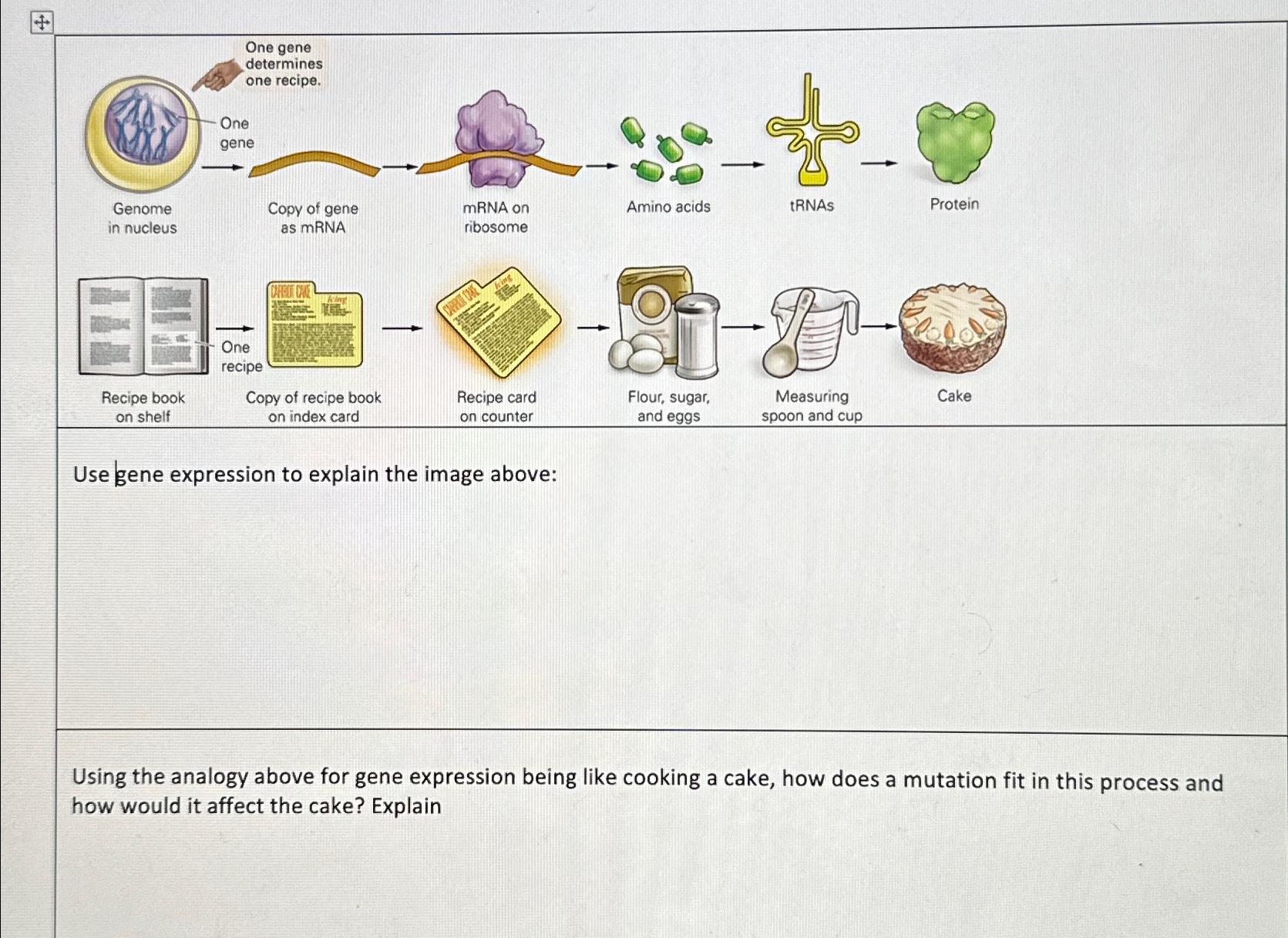 Solved METACOGNITIONDNATHE ENTRECOOK BOOKUse gene expression | Chegg.com