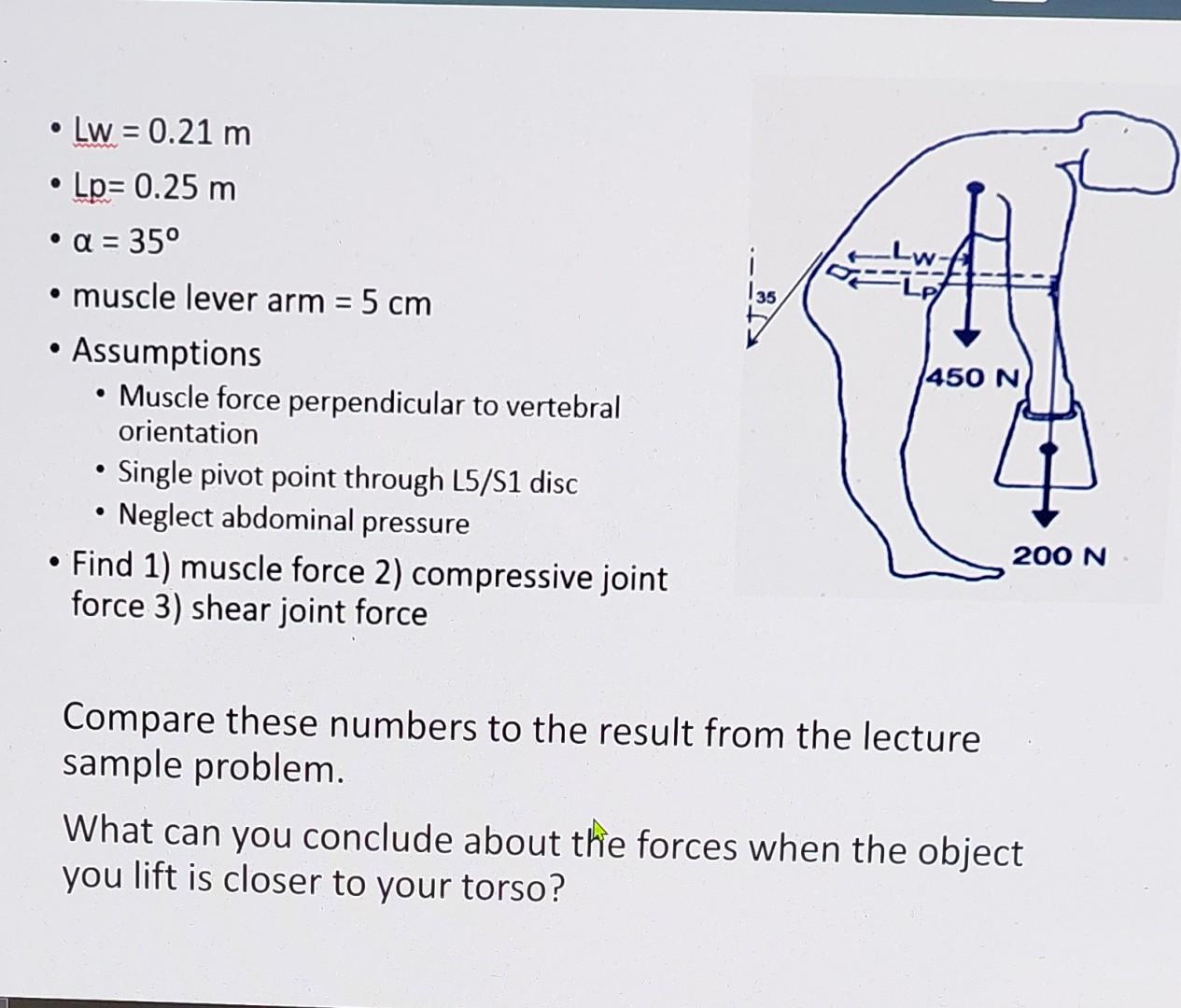 Solved - Lw=0.21 m - Lp=0.25 m - α=35∘ - muscle lever arm =5 | Chegg.com