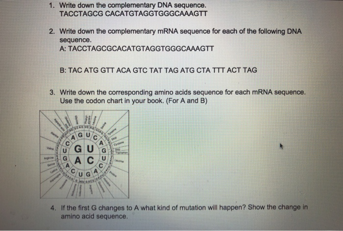 Solved 1. Write down the complementary DNA sequence. | Chegg.com
