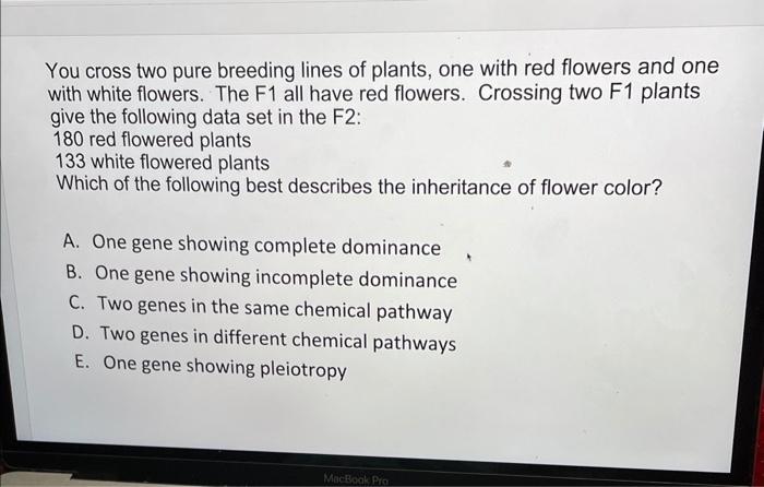 Solved Which of the following best describe the inheritance | Chegg.com