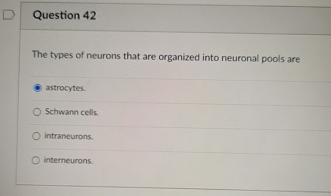 Solved Question 42The types of neurons that are organized | Chegg.com