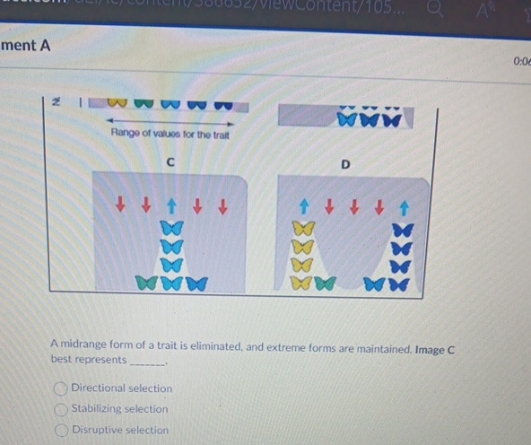 Solved ment A0:0A midrange form of a trait is eliminated, | Chegg.com