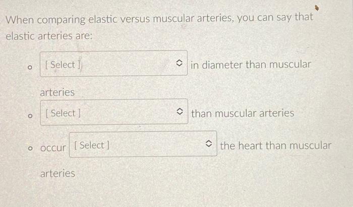 Solved When comparing elastic versus muscular arteries, you | Chegg.com