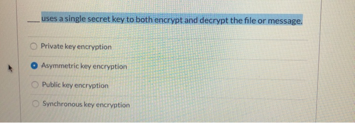 Solved uses a single secret key to both encrypt and decrypt | Chegg.com
