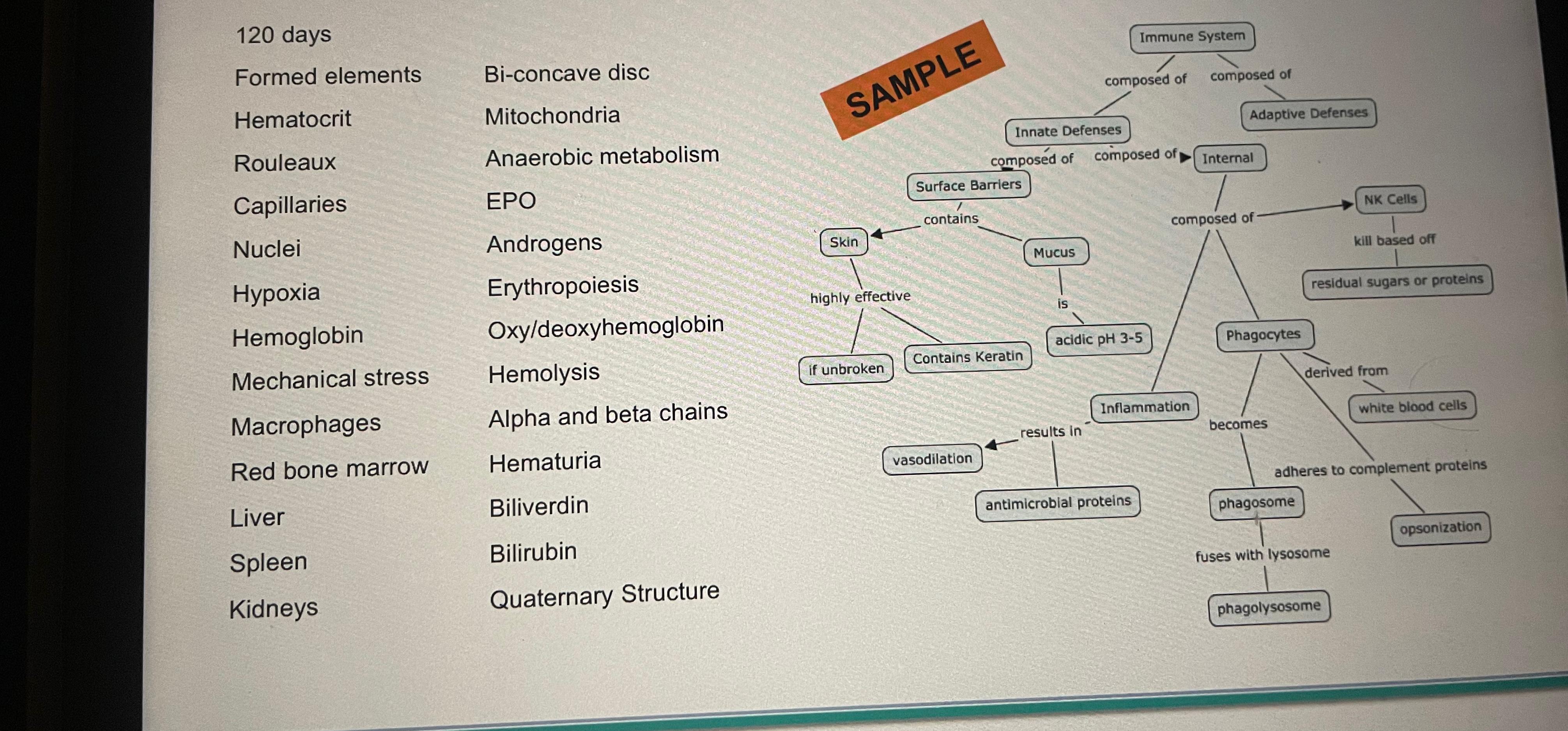 Solved Creat a concept map using the terms on the left. | Chegg.com