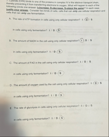 Solved Cyanide (CIN) ﻿binds to one of the proteins in | Chegg.com