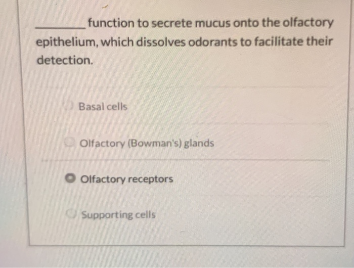 Solved What specific structures compose each taste bud? O | Chegg.com