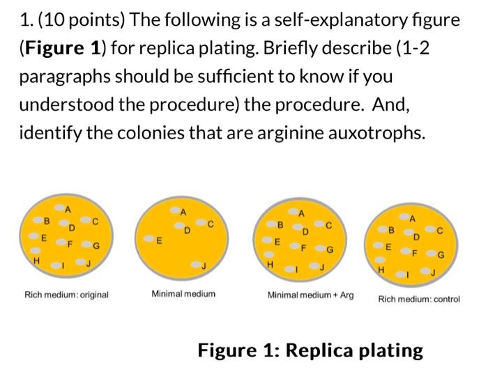 Solved 1. (10 points) The following is a self-explanatory | Chegg.com