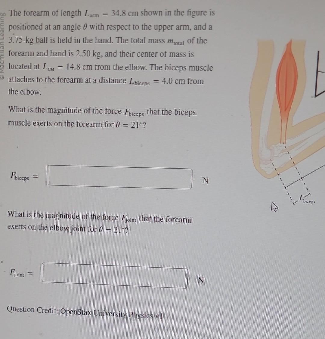 Solved The forearm of length Larm=34.8 cm shown in the | Chegg.com