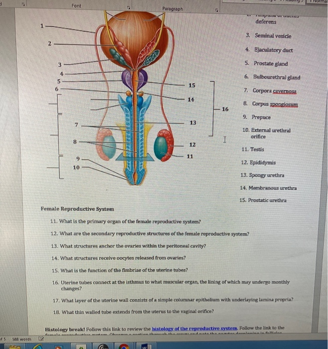 Solved Ame Review Insert Design Layout References Mailings