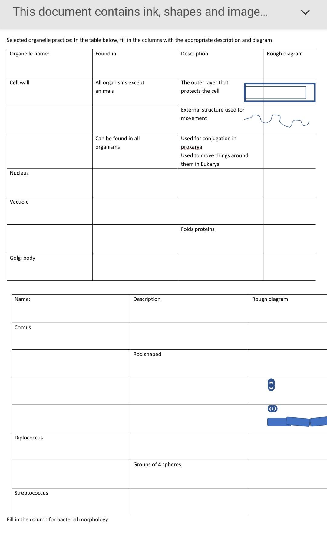 Solved This document contains ink, shapes and image... | Chegg.com