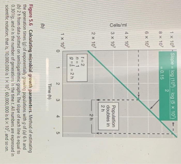 Solved Figure 5 6 Calculating Microbial Growth Parameters