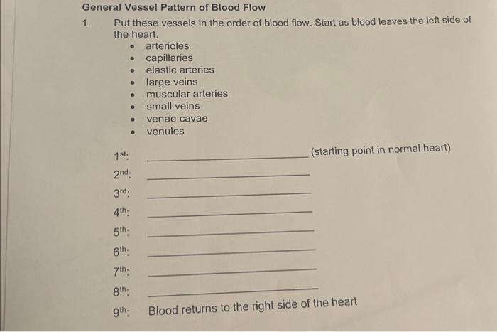Solved General Vessel Pattern of Blood Flow 1. Put these | Chegg.com