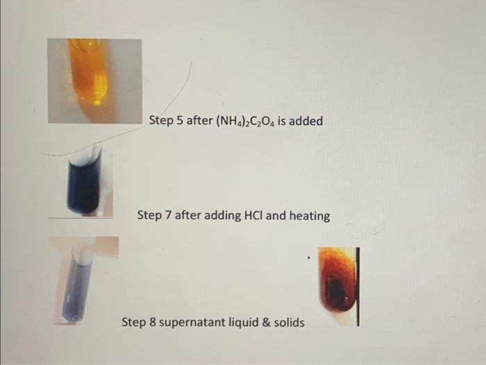 Solved Unknown before reactions step 2 after thioacetamide | Chegg.com