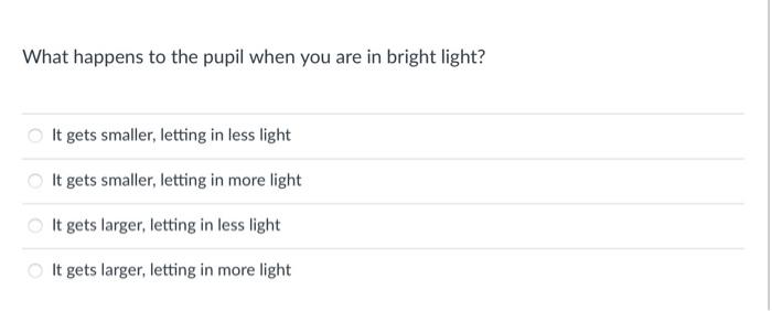 Solved What happens to the pupil when you are in bright | Chegg.com
