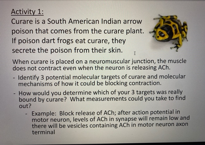 Solved Activity 1: Curare is a South American Indian arrow | Chegg.com