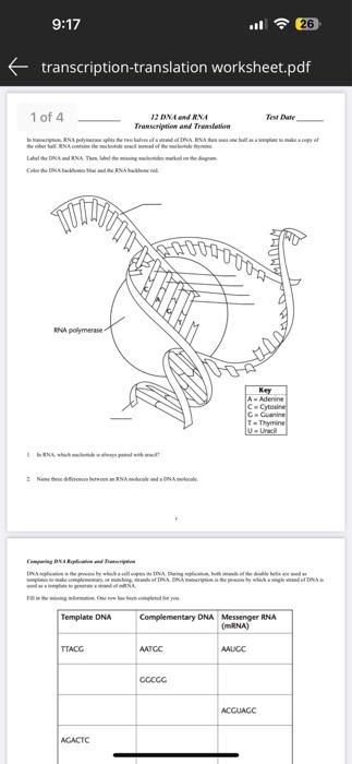 9:17 ,1 ≈26 transcription-translation worksheet.pdf | Chegg.com