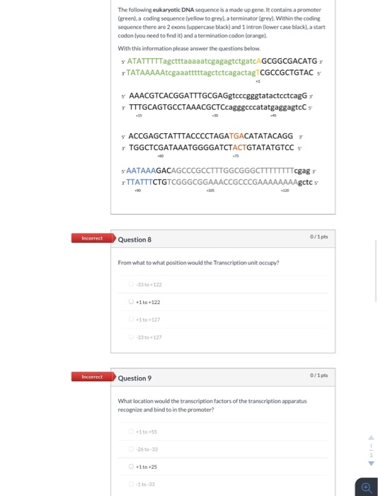 Solved The following eukaryotic DNA sequence is a made up | Chegg.com
