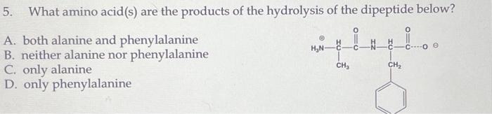 Solved 5. What amino acid(s) are the products of the | Chegg.com
