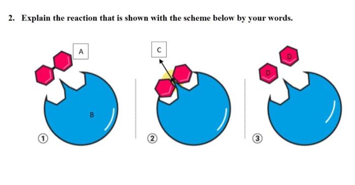 Solved 2. Explain the reaction that is shown with the scheme | Chegg.com