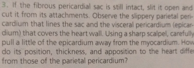 Solved If the fibrous pericardial sac is still intact, slit | Chegg.com