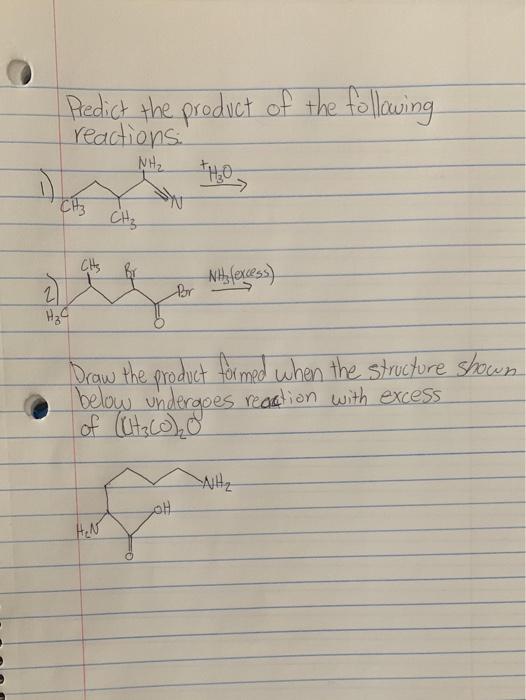 Solved Predict the product of the following reactions: NH2 | Chegg.com
