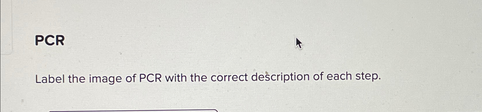 Solved PCRLabel the image of PCR with the correct | Chegg.com