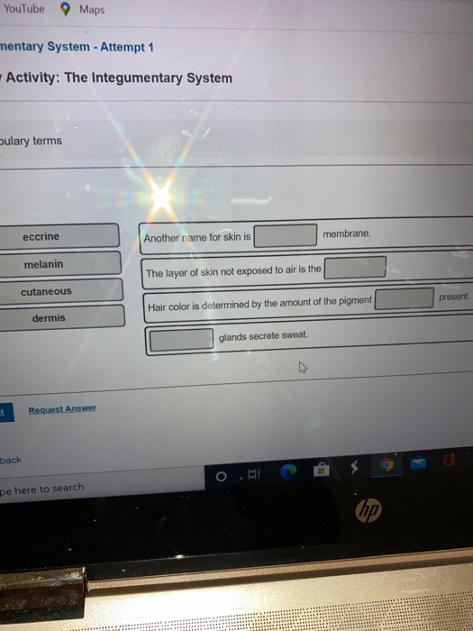Solved YouTube Maps mentary System - Attempt 1 Activity: The | Chegg.com