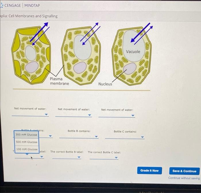 Solved 4. Experimentally identifying mystery solutions You | Chegg.com