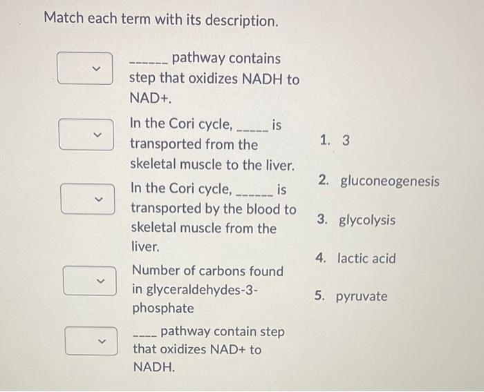 Solved Match each term with its description. pathway | Chegg.com