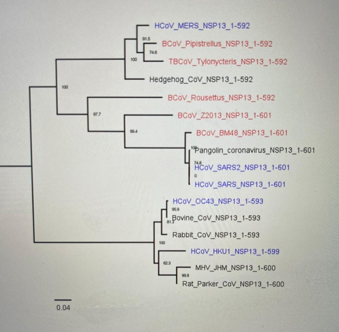 Solved Writing summary Write a concise method section | Chegg.com