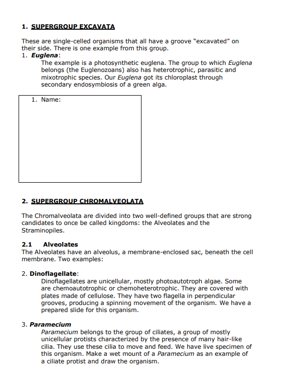 Solved 2. SUPERGROUP CHROMALVEOLATA The Chromalveolata are | Chegg.com