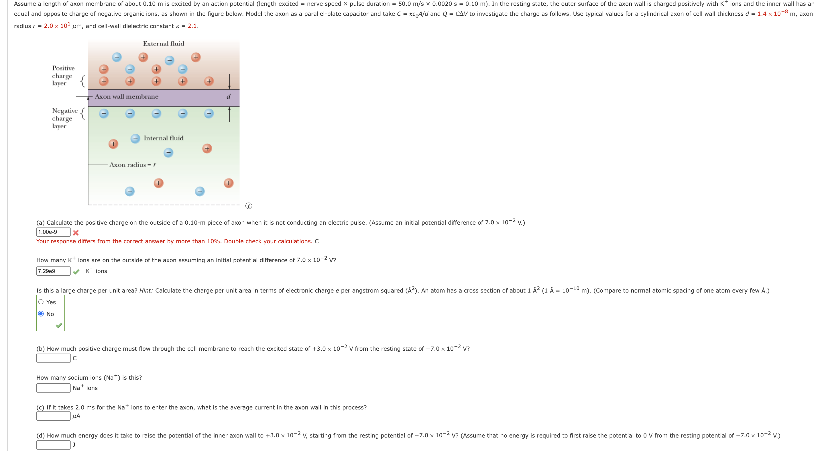 Solved Assume a length of ﻿axon membrane of ﻿about 0.10 m is | Chegg.com