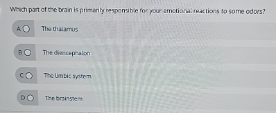 Solved Which part of the brain is primarily responsible for | Chegg.com