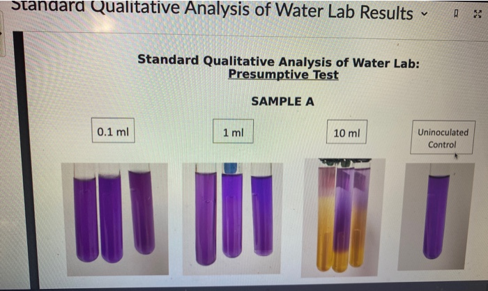 Standard Qualitative Analysis of Water Lab Results | Chegg.com