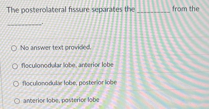 Solved The posterolateral fissure separates the from the No | Chegg.com