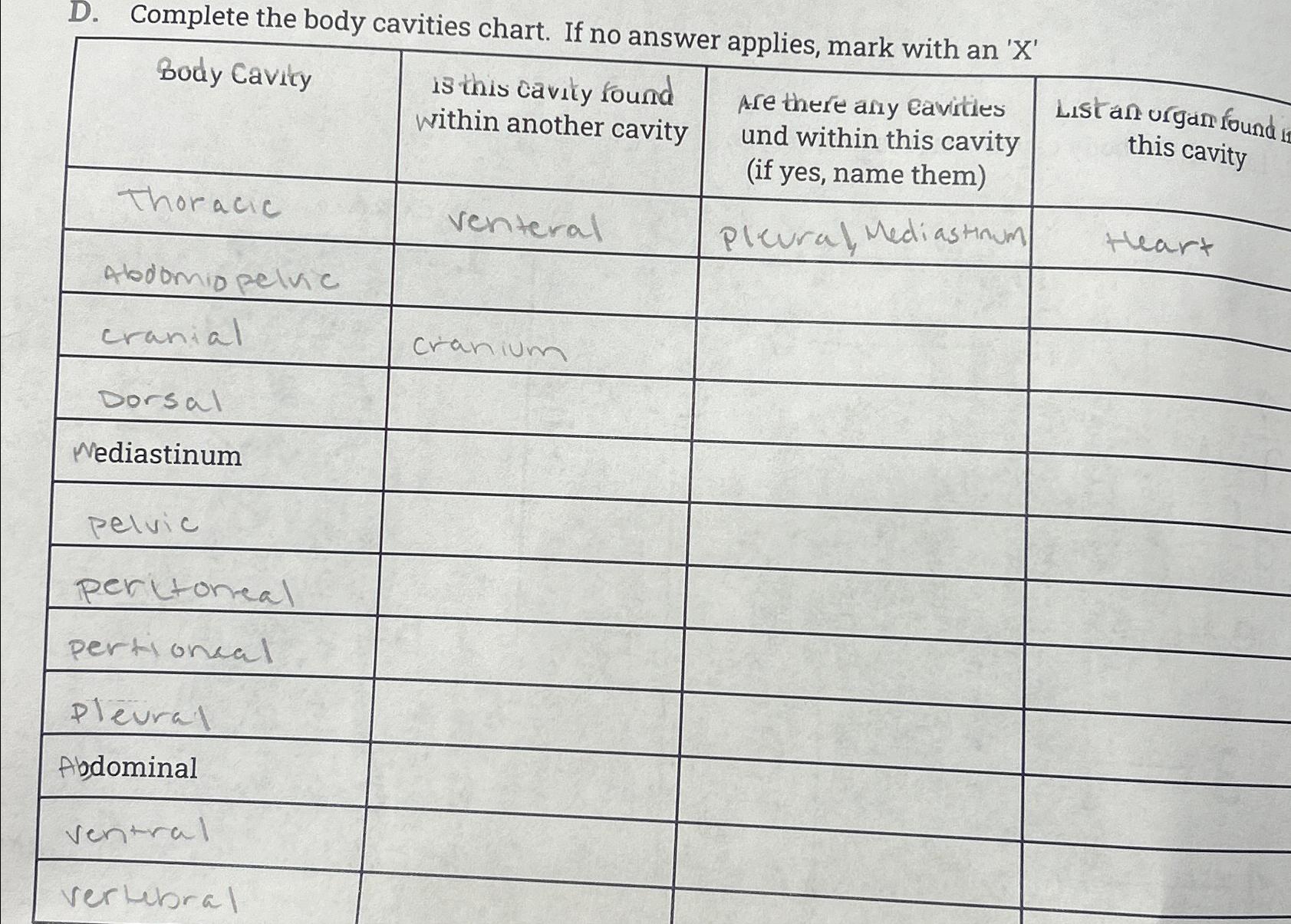 Solved D. ﻿Complete the body cavities chart. If no answer | Chegg.com